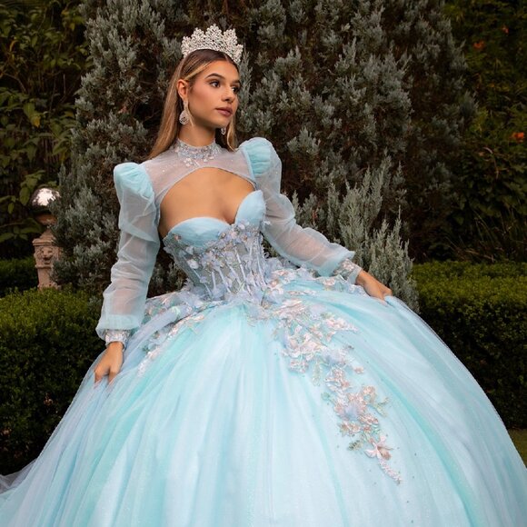 GL | Dresses | New Layered Ball Gown W Floral Applique Embroidery ...